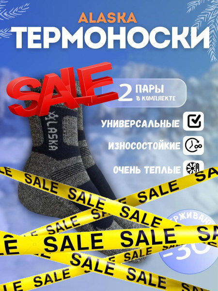 Носки Термоноски Аляска, 2 пары купить на OZON по низкой цене (1379857796)