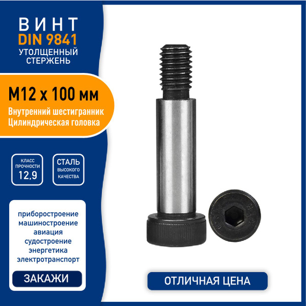Винт DIN 9841 (ISO 7379) M12 х 100 мм с утолщенным стержнем и внутренним шестигранником, сталь ...