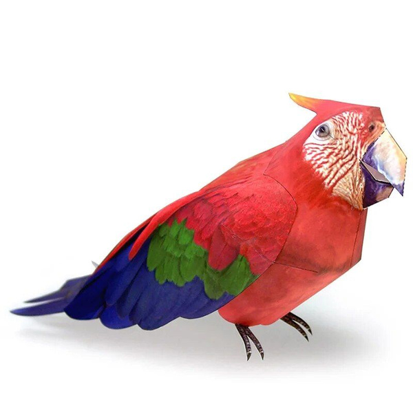 Ара Psittacidae Попугай Птица, животное, 3D бумажная модель, Papercraft ...