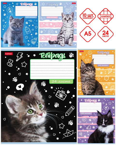 Набор тетрадей Hatber 24 листа, формата А5, в клетку, 65 г/кв. м, на скобе, 10 штук/5 дизайнов ...