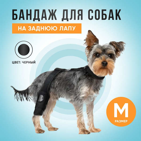 Бандаж для собак на заднюю лапу, на локтевой и коленный сустав, со ...