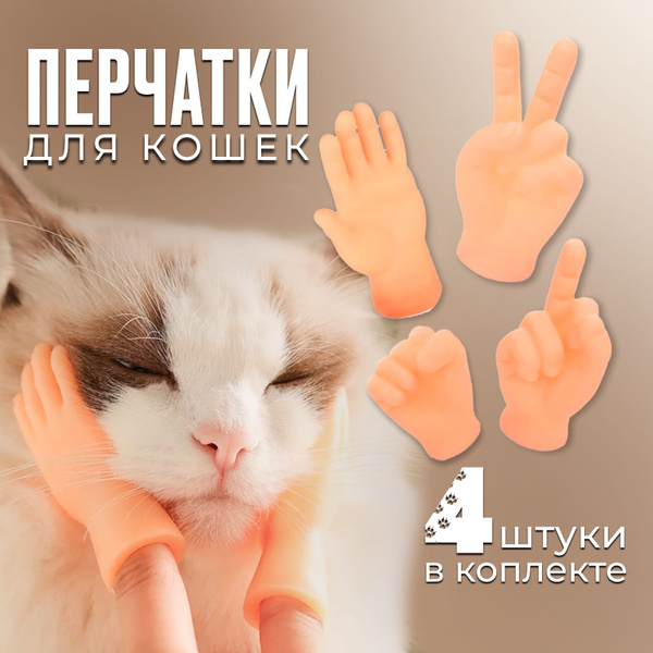 Щекоталки для игры с котом (4 жеста в комплекте) - купить с доставкой ...
