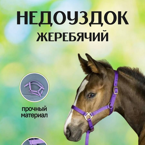 Недоуздок для жеребенка и пони фиолетовый Small - купить с доставкой по ...