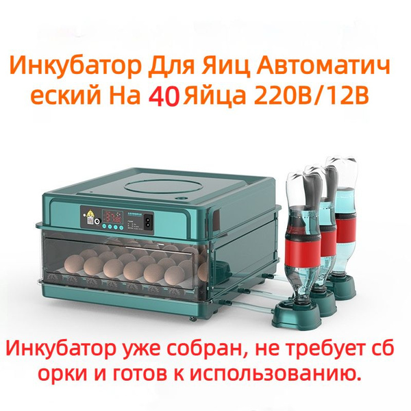 инкубатор для яиц автоматический на 40 яйца 220B/12B купить на OZON по ...