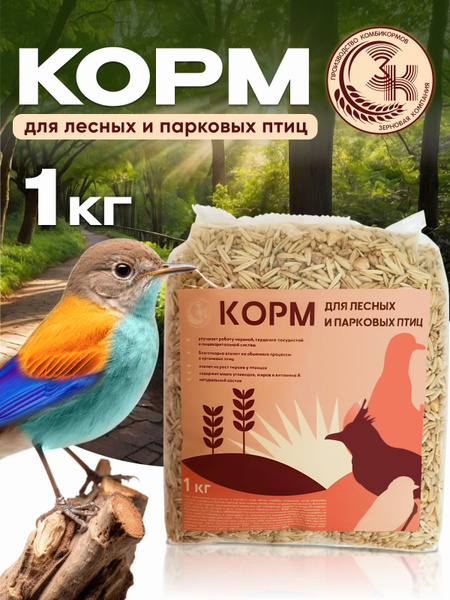 Корм для лесных, уличных и парковых птиц, 1 кг - купить с доставкой по ...