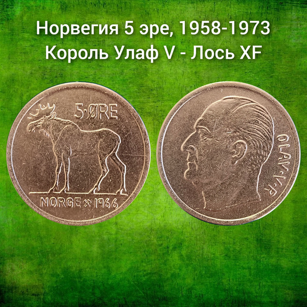 Норвегия 5 эре, 1958-1973 Король Улаф V - Лось XF - купить в интернет-магазине OZON с быстрой ...