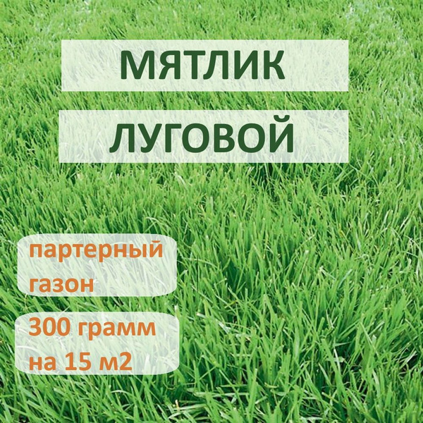 Газонные травы Владагрокомплекс Мятлик - купить по выгодным ценам в ...