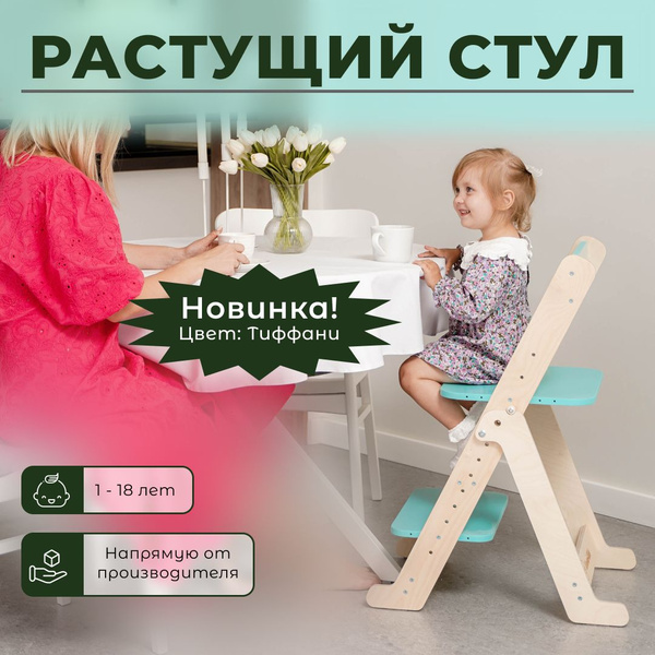 Растущий стул для школьника Детский стульчик - купить с доставкой по ...