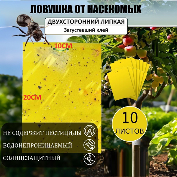 Ловушка для садовых вредителей - купить с доставкой по выгодным ценам в ...