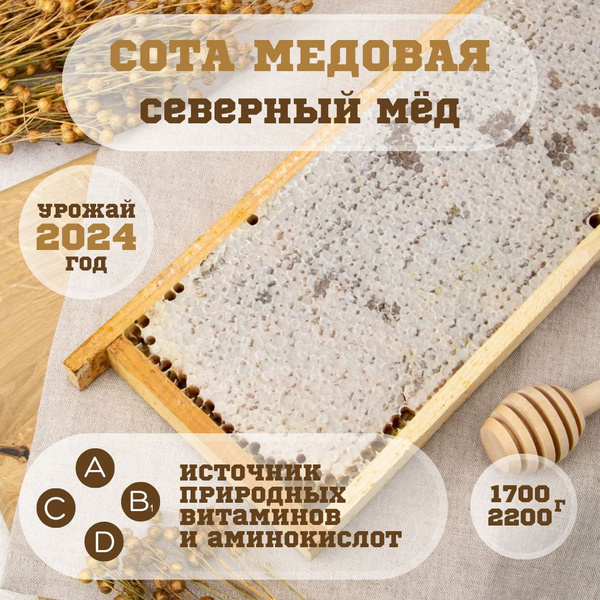 Сотовый мед, мед в сотах, сота медовая 1.7 кг - 2.2 кг - купить с ...