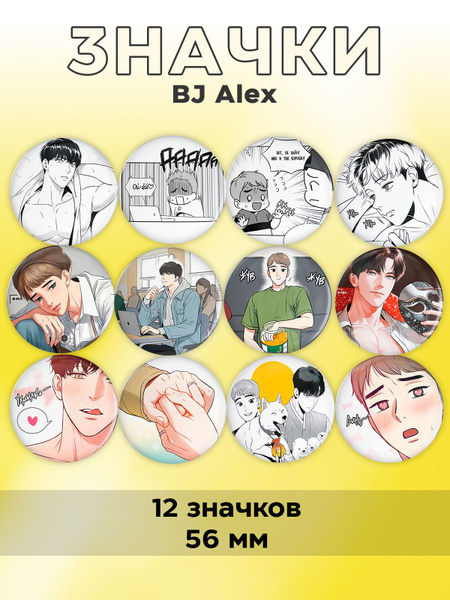 Значки 12 шт - BJ Alex - купить с доставкой по выгодным ценам в интернет-магазине OZON (1649990256)