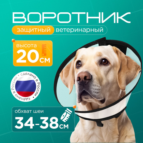 Воротник для животных купить на OZON по низкой цене (1882157559)