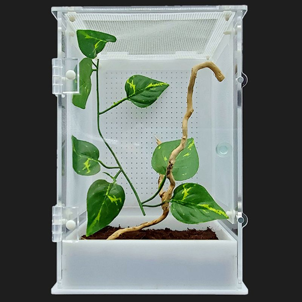 Террариум Для Богомола - купить с доставкой по выгодным ценам в ...