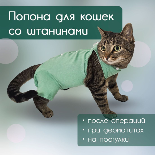 Характеристики Попона послеоперационная для кошек со штанинами, размер ...