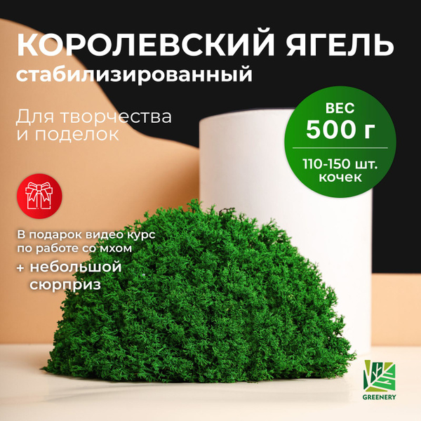 Greenery Moss / Мох Ягель Королевский №10 - 500 гр стабилизированный ...