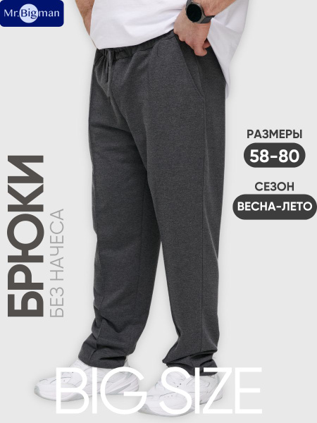 Брюки Мужской MR. BIGMAN прямые, классические темно-серый Хлопок Повседневный, размер 68 Завязки ...