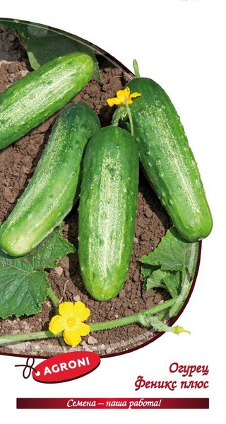 Agroni LM89400842 - купить по выгодным ценам в интернет-магазине OZON ...