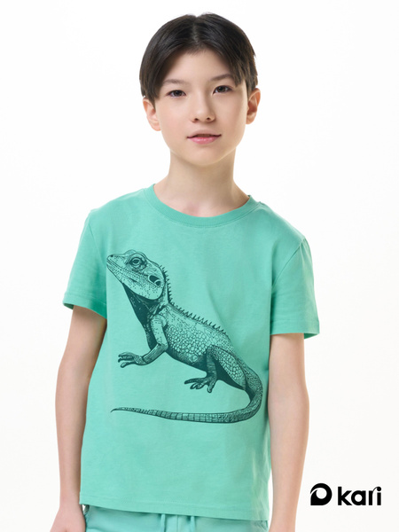 Футболка Мальчики Kari мята пыльная Короткий, размер 152 Хлопок Животные прямой Повседневный ...