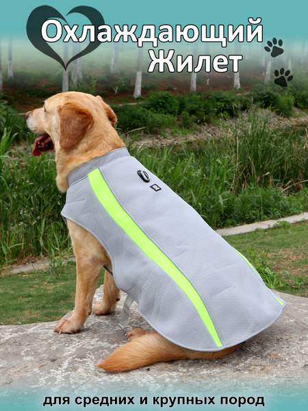 Жилет Rexy crew Охлаждающий, одежда для собак средних и крупных пород, цвет зеленый, размер 3XL ...