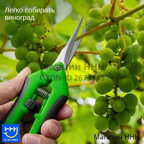 zenithra Секатор купить на OZON по низкой цене (2545137561)