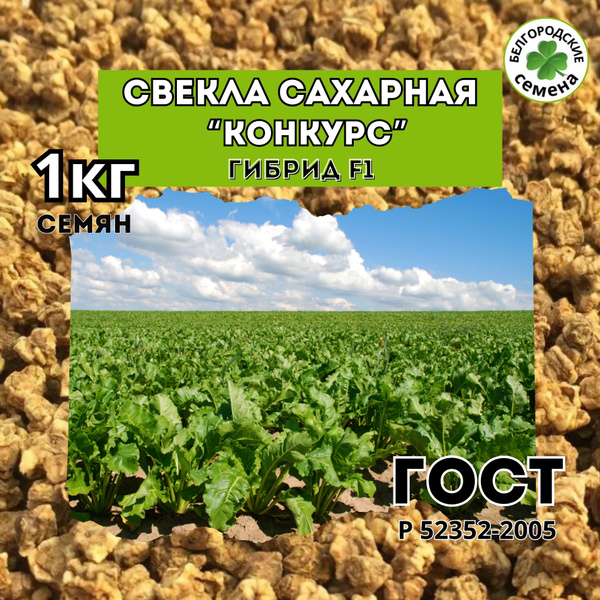Свекла семена1_бежевый_белый_Свекла сахарная "Конкурс" 1кг - купить по ...
