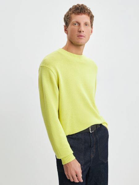 Джемпер Zarina ZRN MAN - купить с доставкой по выгодным ценам в интернет-магазине OZON (1451866573)