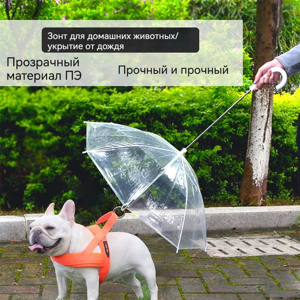 Зонт для собак Универсальная защита от дождя и солнца Прочный и ...