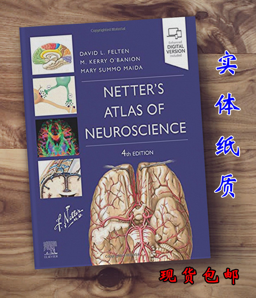 Netter's Atlas of Neuroscience (Netter Basic Science) Colored English ...