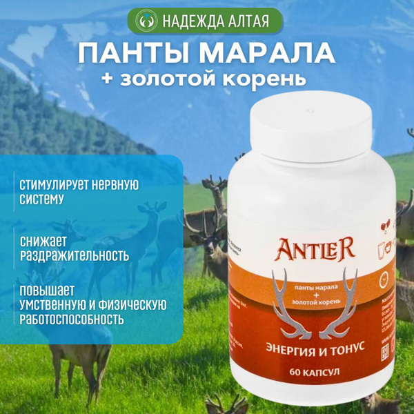 Панты марала Энергия и тонус, пантогематоген сухой Алтайский, золотой ...