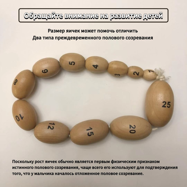 Устройство для измерения объема яичек у мужчин,Орхидометр - купить с ...