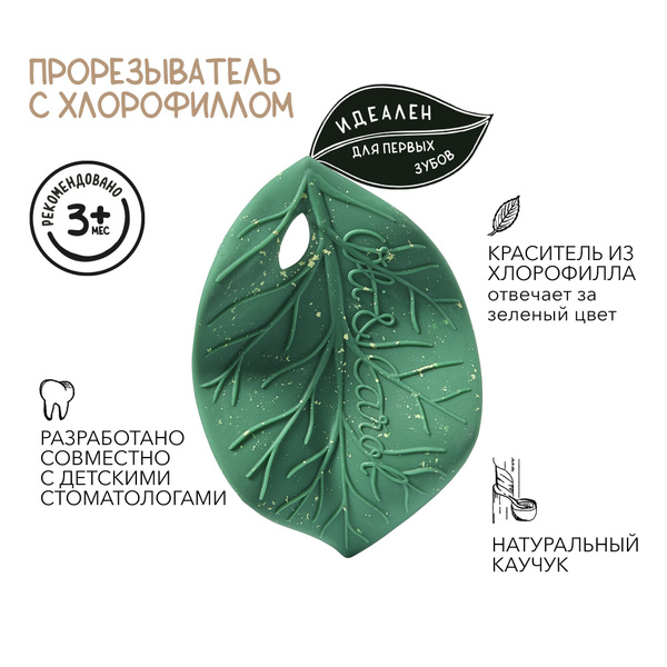 Oli&Carol Прорезыватель грызунок детский для зубов Chlorophyll Leaf ...