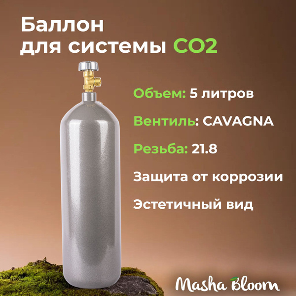 Баллон СО2 для аквариума. 5 литров. CAVAGNA 21.8 - купить с доставкой ...