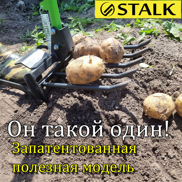 Многофункциональный картофелекопатель СТАЛК (STALK) - купить с ...