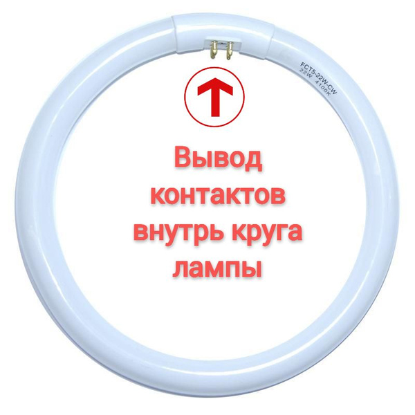Лампа люминесцентная кольцевая T5 22W купить на OZON по низкой цене ...