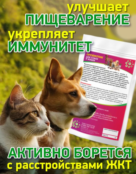 Пробиотик для собак и кошек 100 гр - купить с доставкой по выгодным ...