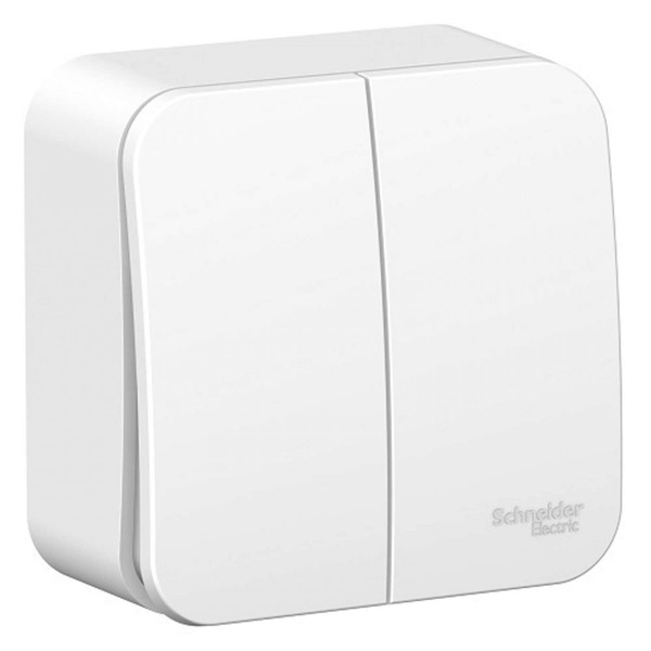 Двухклавишный выключатель Schneider Electric BLANCA купить на OZON по ...