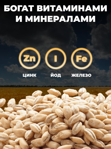 Продукты питания Талкан из пророщенного ячменя СибТар 500 гр - купить с ...