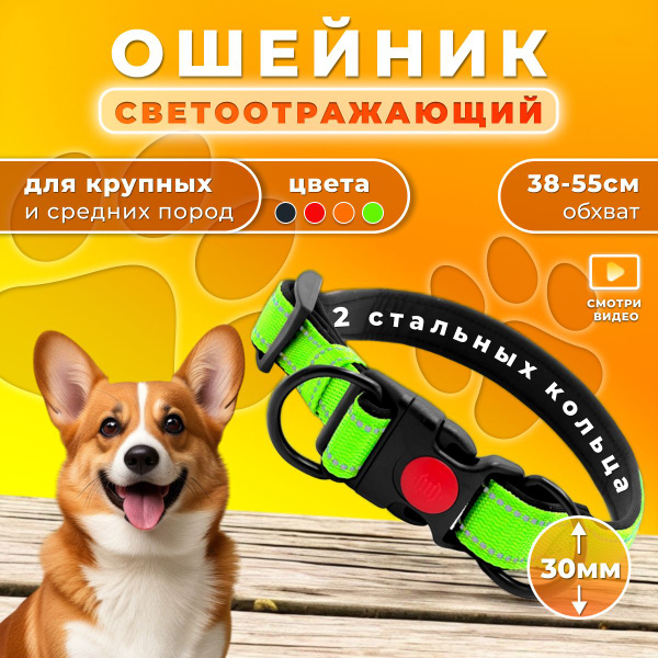 Ошейник для собак средних и крупных пород с подкладом / The Store ...