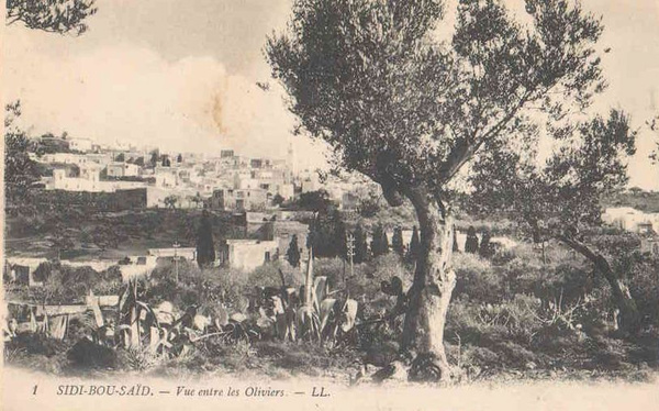 Антикварная открытка "Сиди-Бу-Саид". Тунис, 1910-1930 - купить с доставкой по выгодным ценам в ...