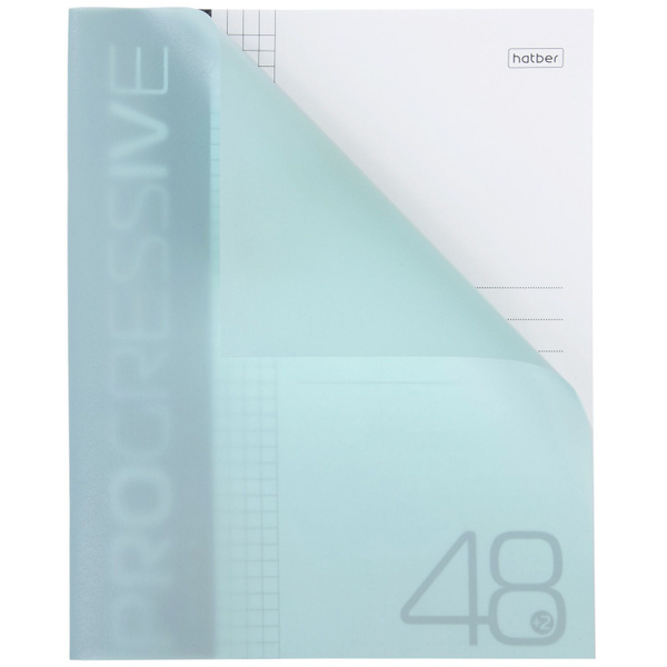 Тетрадь Hatber 5 штук с пластиковой обложкой, 48 листов А5 формата в клетку на скрепке ...