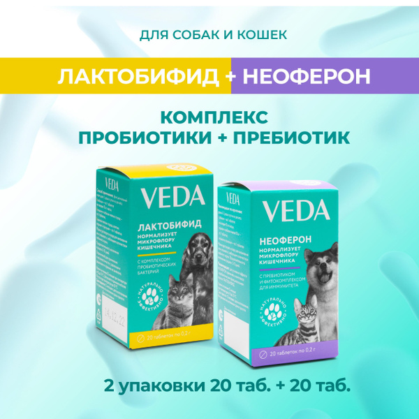 ЛАКТОБИФИД (пробиотик) + НЕОФЕРОН (пребиотик) купить на OZON по низкой ...