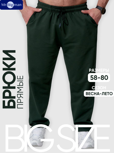 Брюки Мужской MR. BIGMAN темно-зеленый, хаки Хлопок, Полиэстер Домашний, размер 66 Завязки ...