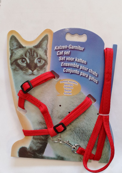 Шлейка с поводком "Cat" EV-331 эконом однотонная 1см купить на OZON по низкой цене (2029965504)