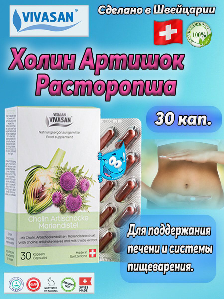 Вивасан Холин- Артишок-Расторопша капсулы, Vivasan БАД для восстановления работы кишечника и ...