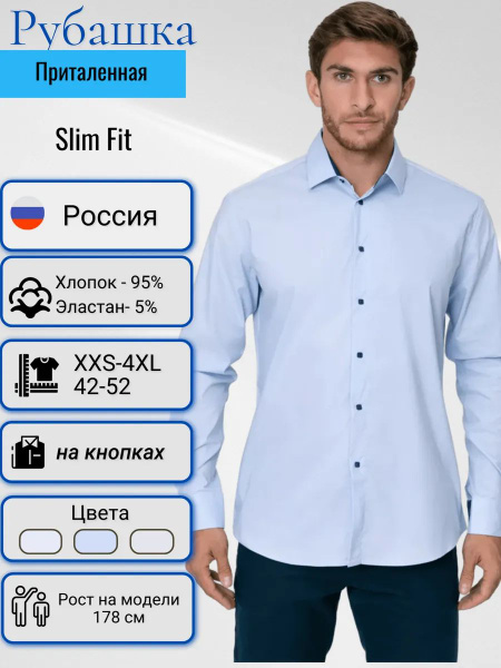 Рубашка Мужской Brostem голубой Длинный Хлопок, Эластан Воротник Однотонный, размер 48 ...