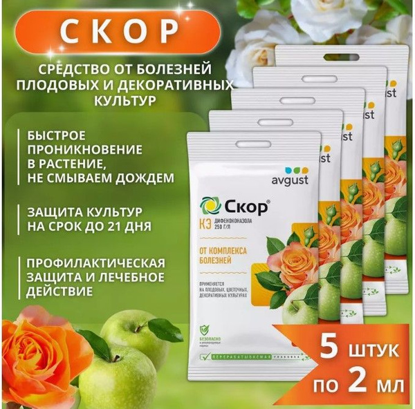 СКОР АВГУСТ, средство защиты растений от болезней, 5 шт по 2 мл ...