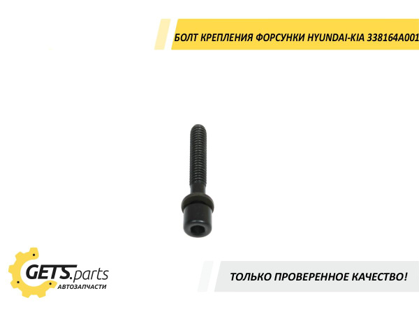 Болт крепления форсунки HYUNDAI/KIA 338164A001 - Hyundai-KIA арт ...