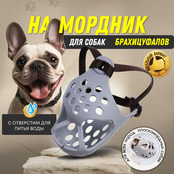 Намордник для плоскомордых короткомордых мелких пород собак - купить с ...