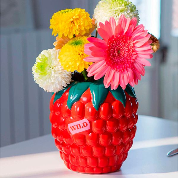 Ваза для цветов DOIY Raspberry, 20 см - купить вазу в интернет-магазине ...