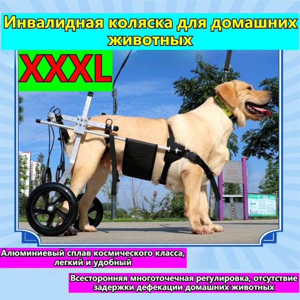 Инвалидная коляска для собак, подходящая для крупных пород собак (35-60 ...